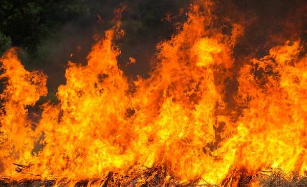 Alerta por foco de incendio en zona sur del Parque Nacional Los Alerces