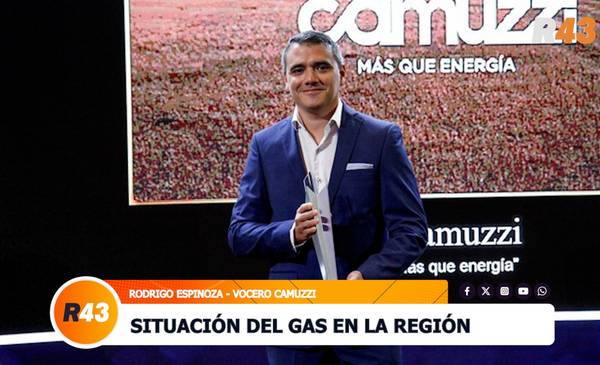 Camuzzi Gas del Sur: "El consumo en la República Argentina está ...
